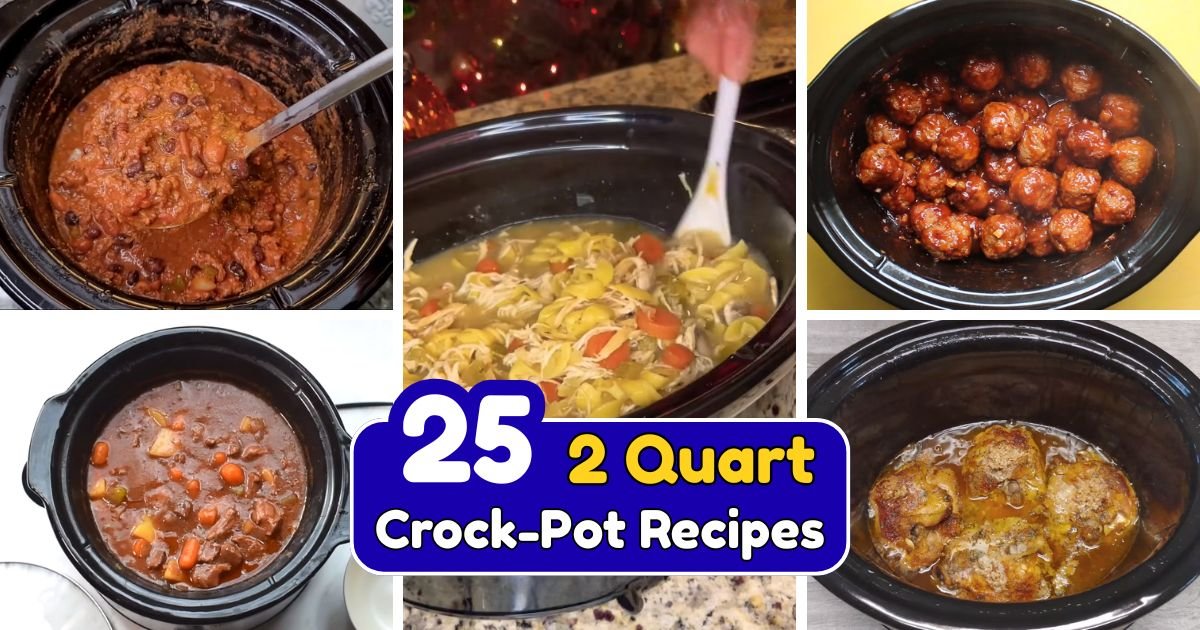 25 Easy 2 Quart Crock-Pot Recipes for Small Meals